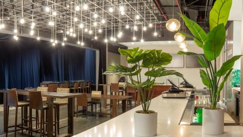 Enmarket Arena | Savannah's Newest Live Entertainment Venue